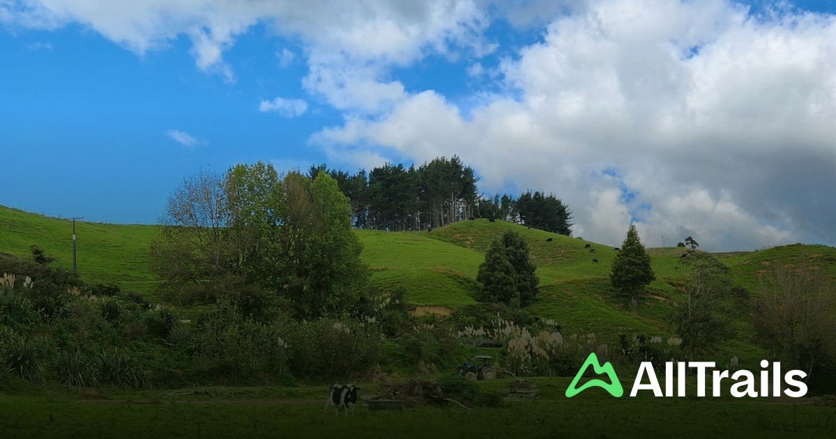 Best hikes and trails in Pirongia Forest Park | AllTrails