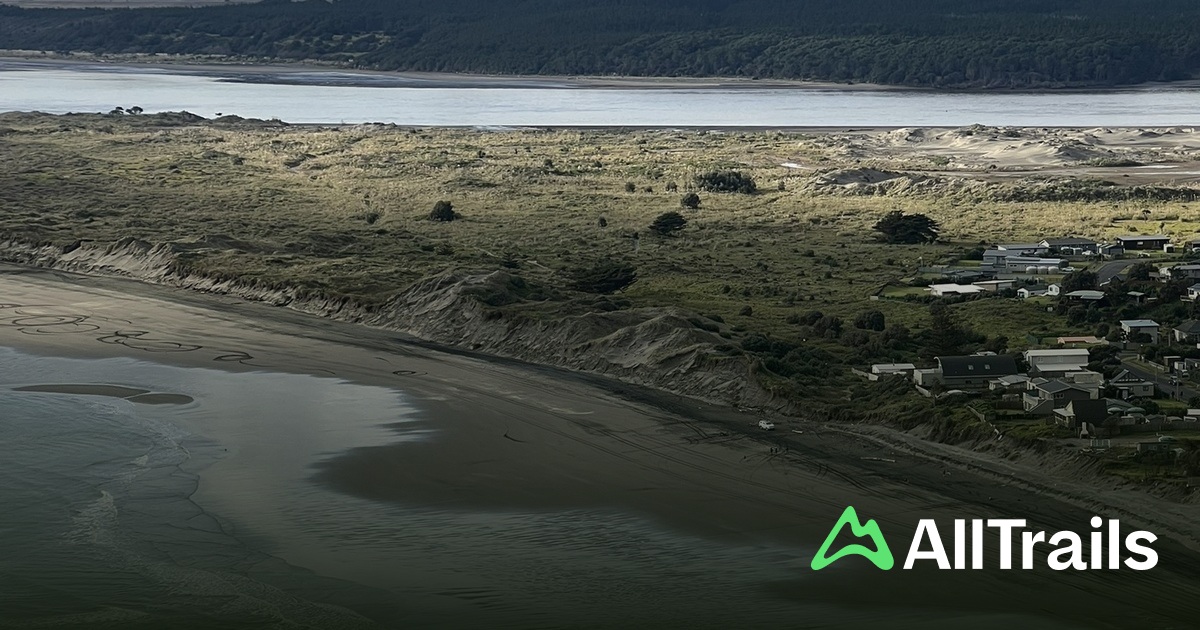 Best hikes and trails in Port Waikato | AllTrails