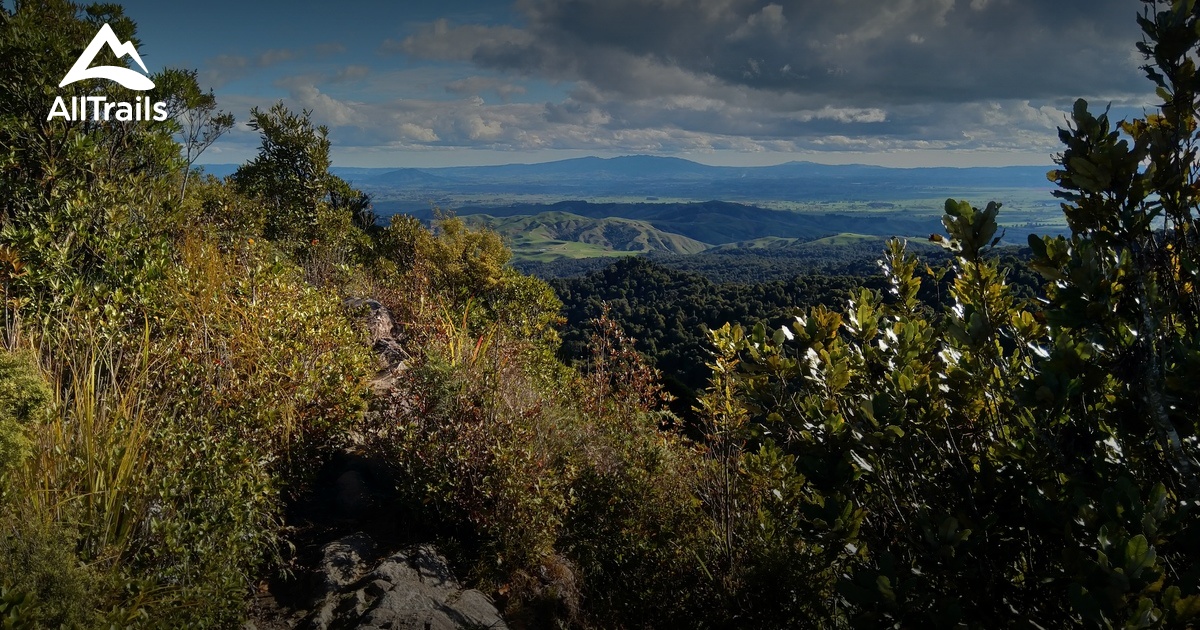 Best hikes and trails in Pukeatua | AllTrails
