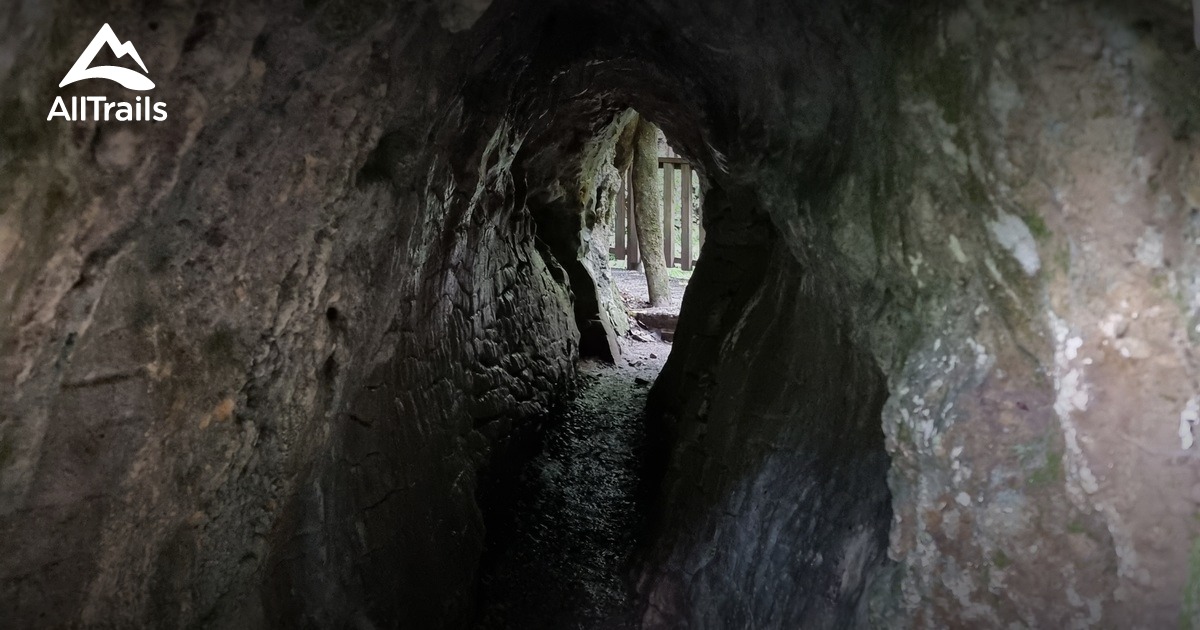 Best hikes and trails in Te Anga | AllTrails