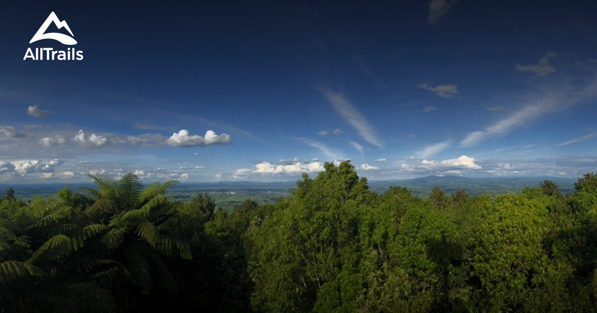 Best Trails near Te Awamutu, Waikato New Zealand | AllTrails