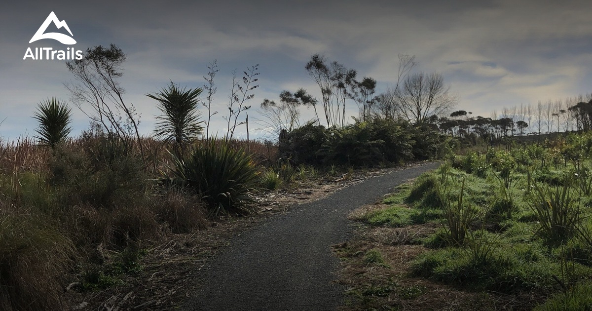 Best forest trails in Te Awamutu | AllTrails