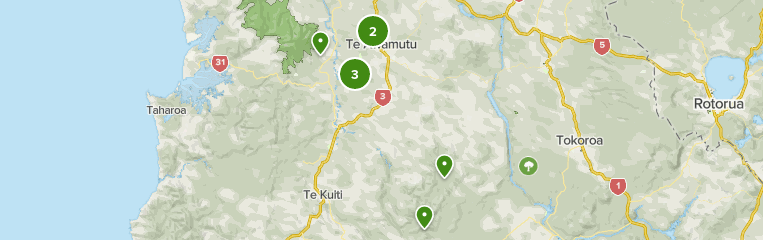 De 10 beste wandelroutes en hikes in Te Awamutu | AllTrails