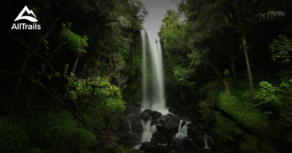 Best waterfall trails in Tuakau | AllTrails