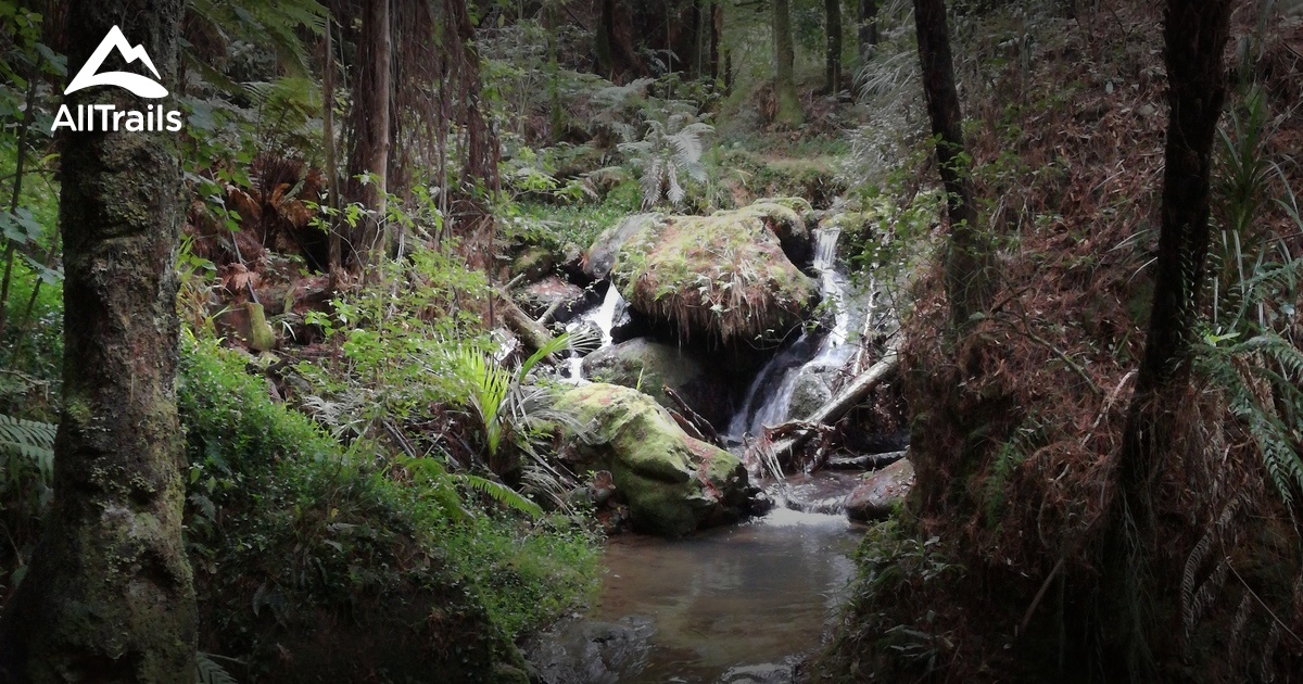 Best Trails near Waihi, Waikato New Zealand | AllTrails
