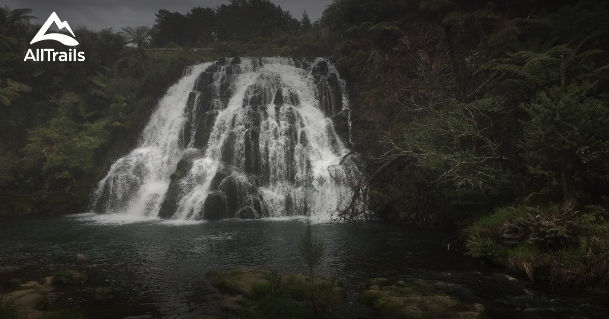 10 Best trails and hikes in Waihi | AllTrails