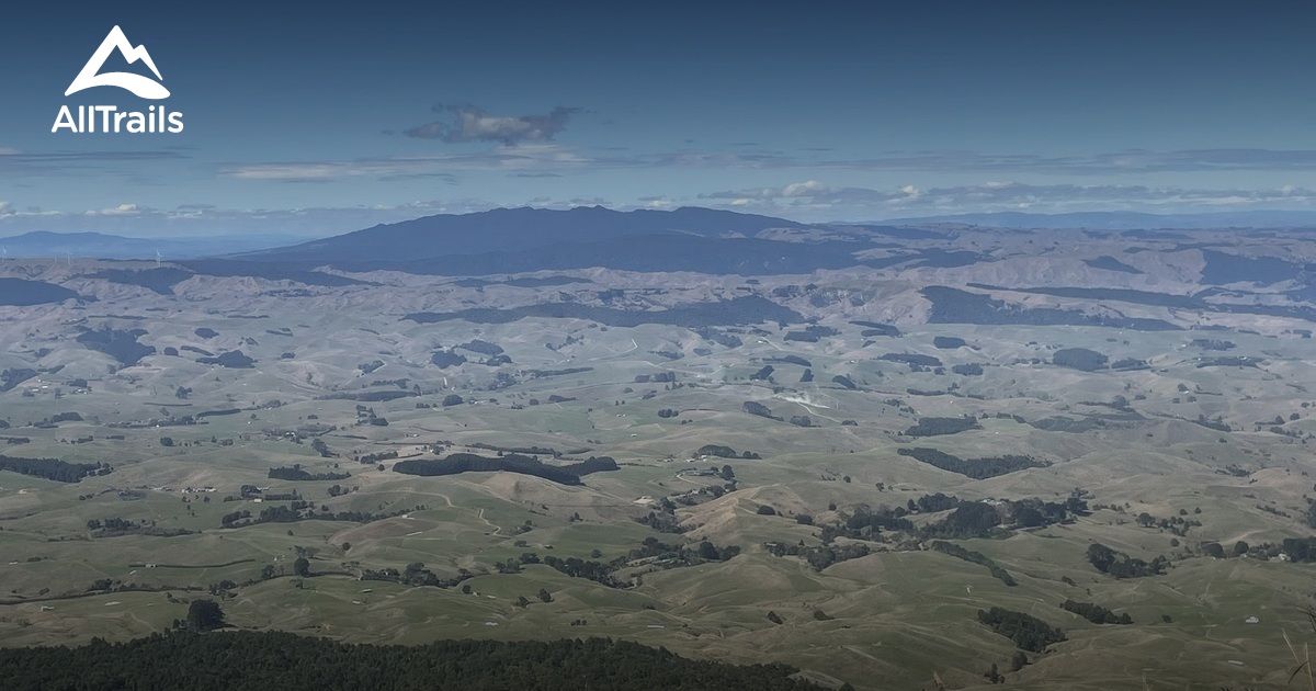 Best hikes and trails in Waitakaruru | AllTrails