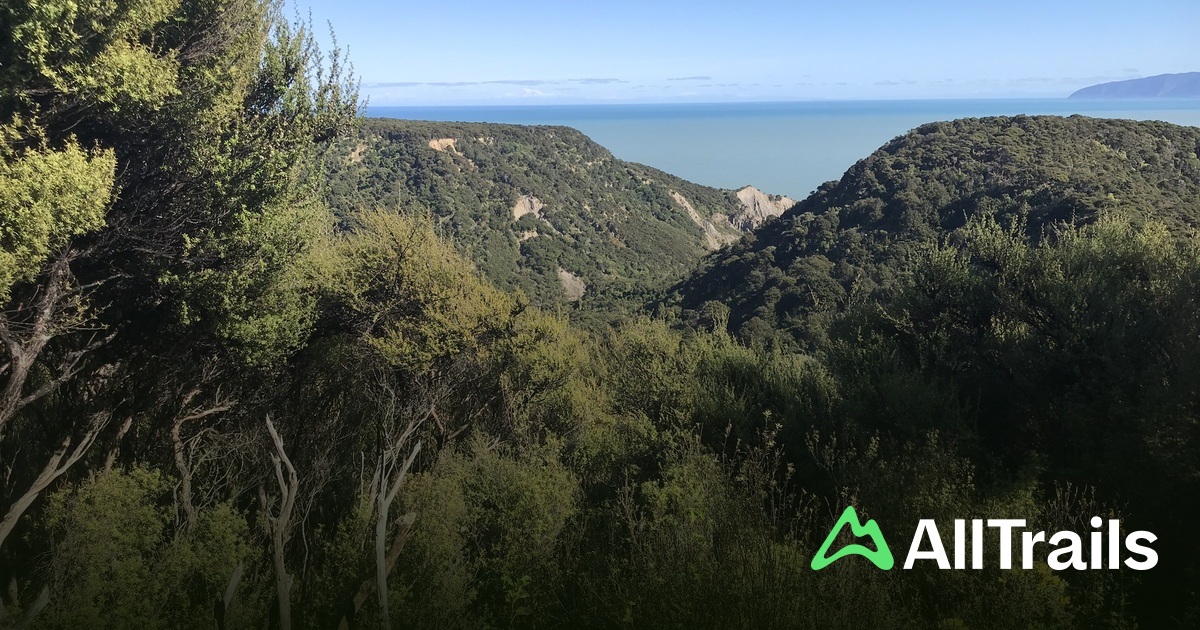 Best moderate trails in Aorangi Forest Park | AllTrails