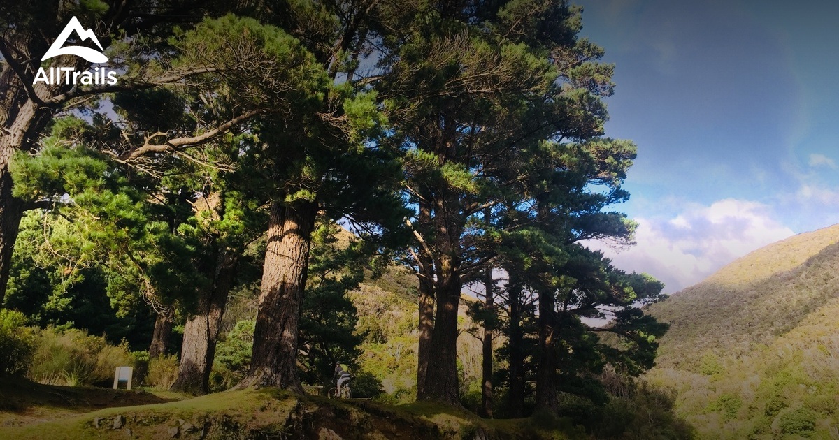 10 Best walking trails in Featherston | AllTrails