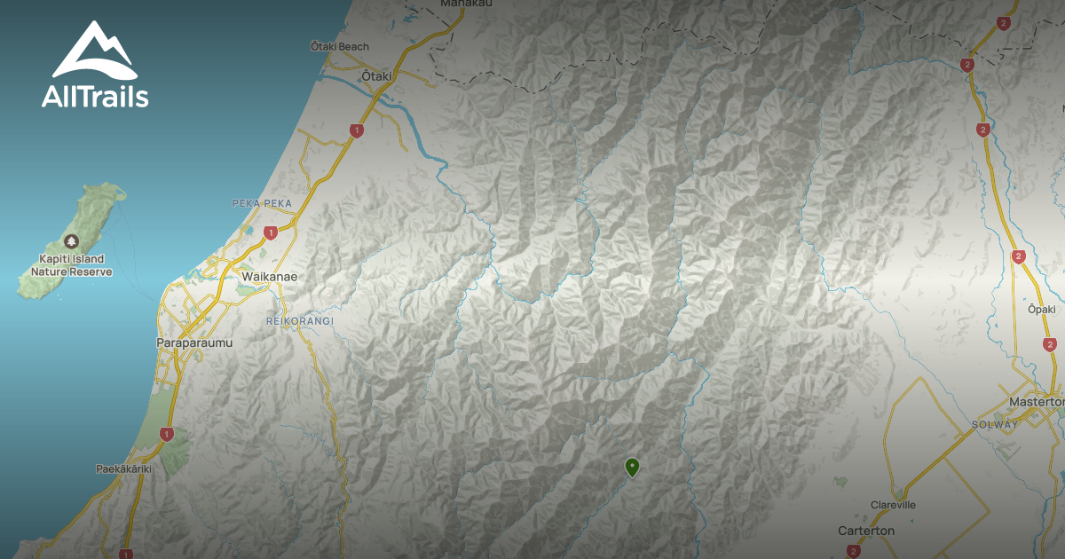 10 Best trails and hikes in Tararua Forest Park | AllTrails