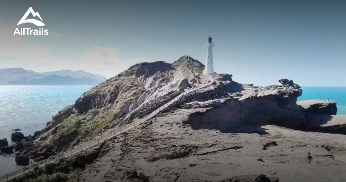 Best hikes and trails in Tinui | AllTrails