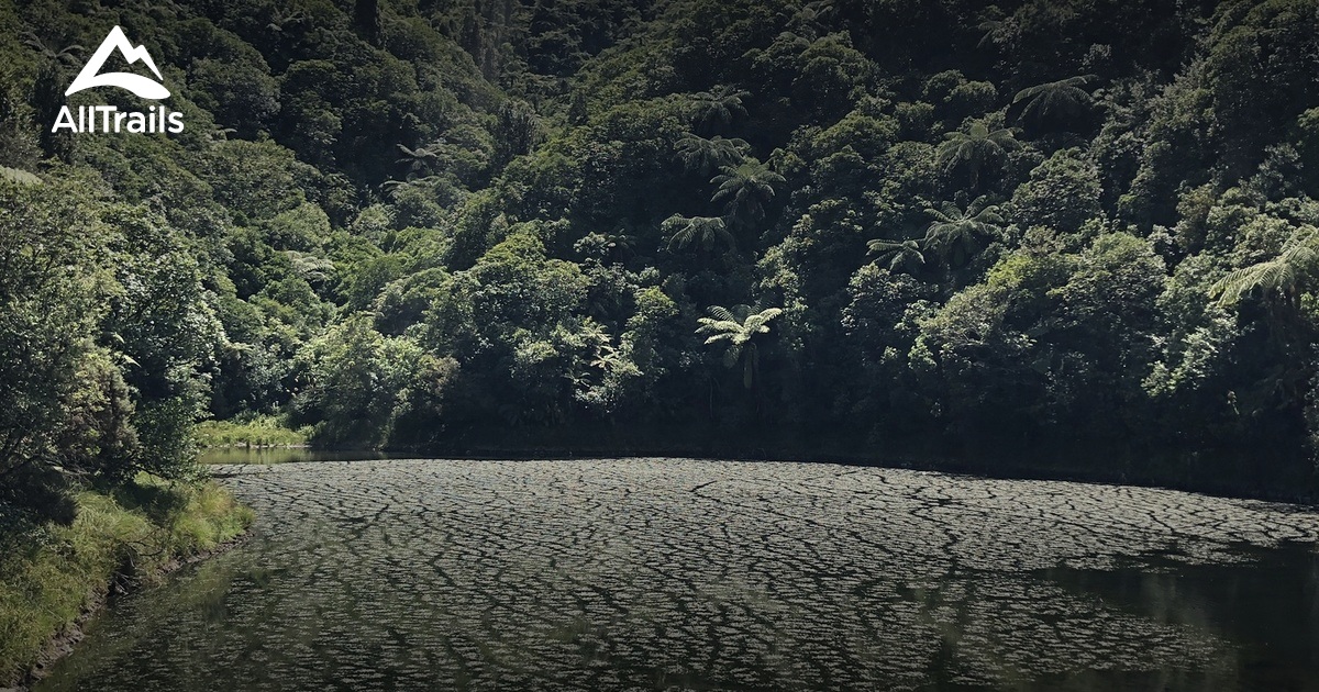 10 Best trails and hikes in Upper Hutt | AllTrails