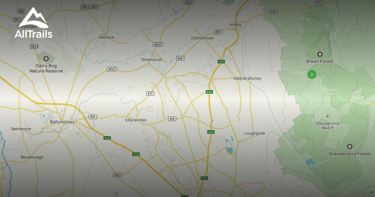 Best forest trails in Ballymoney | AllTrails