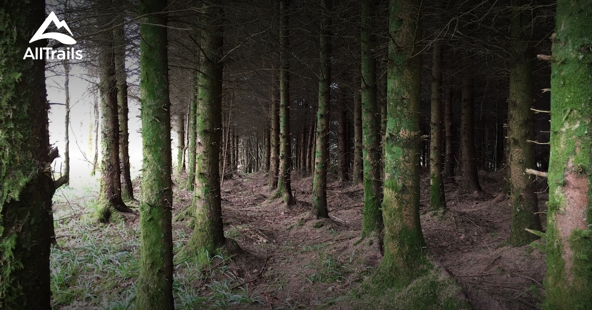 10 Best Trails, Walks, and Paths in Coleraine | AllTrails