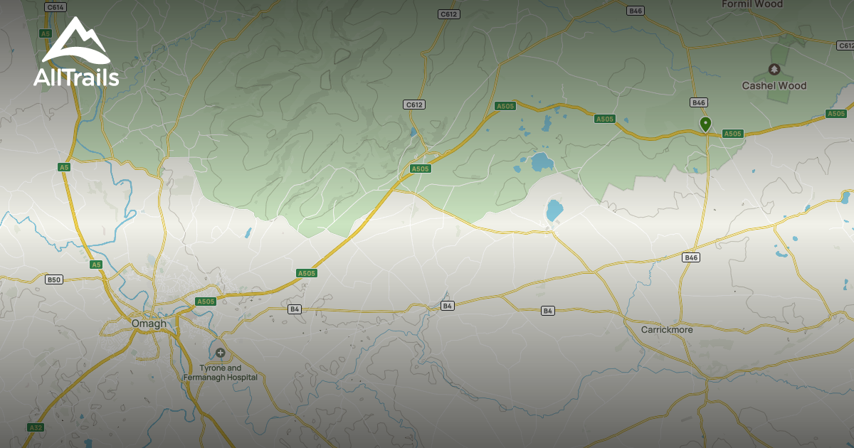 10 Best forest trails in Omagh | AllTrails