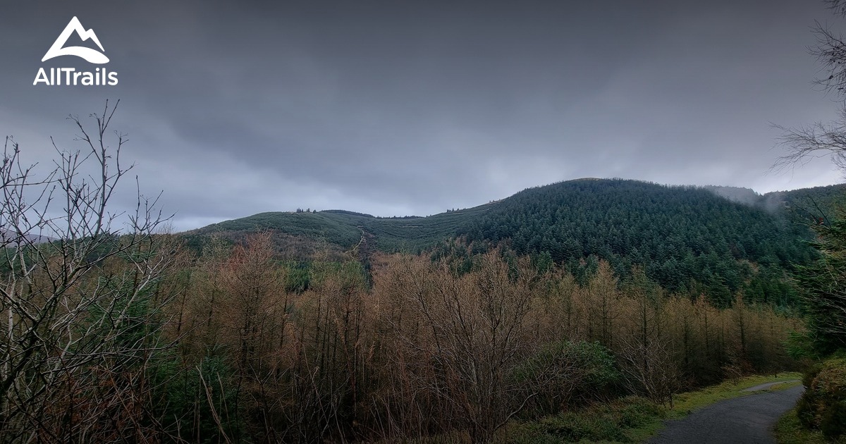 10 Best walking trails in Newry | AllTrails