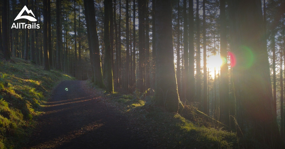 Best Trails, Walks, and Paths in Augher | AllTrails