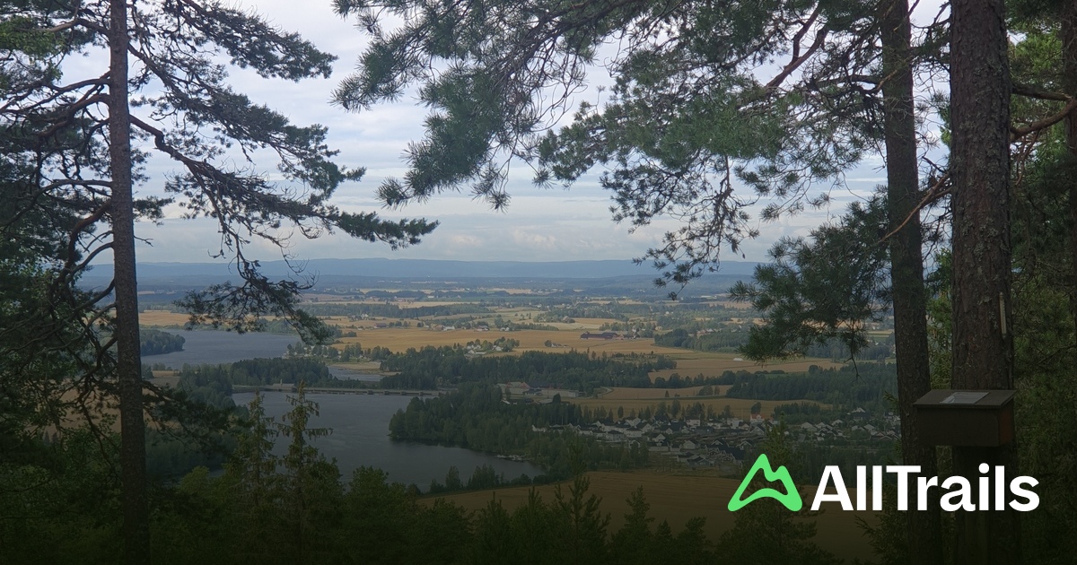 10 Best trails and hikes in Årnes | AllTrails