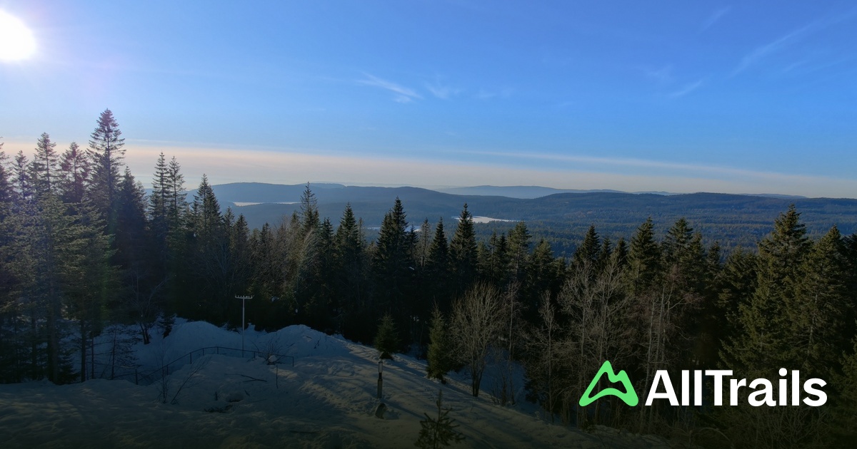 Best moderate trails in Hagan | AllTrails