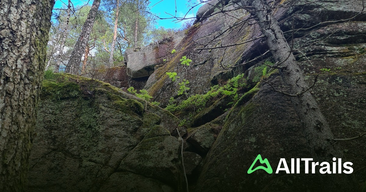 Best historic site trails in Heggedal | AllTrails