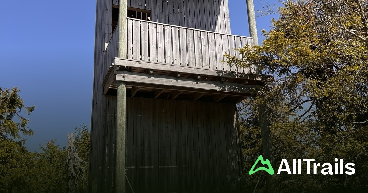 Bedste ruter ved vandfald i Hurdal | AllTrails