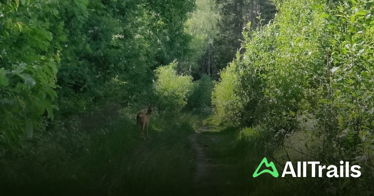 Die Besten Routen mit Leinenpflicht in Ski | AllTrails