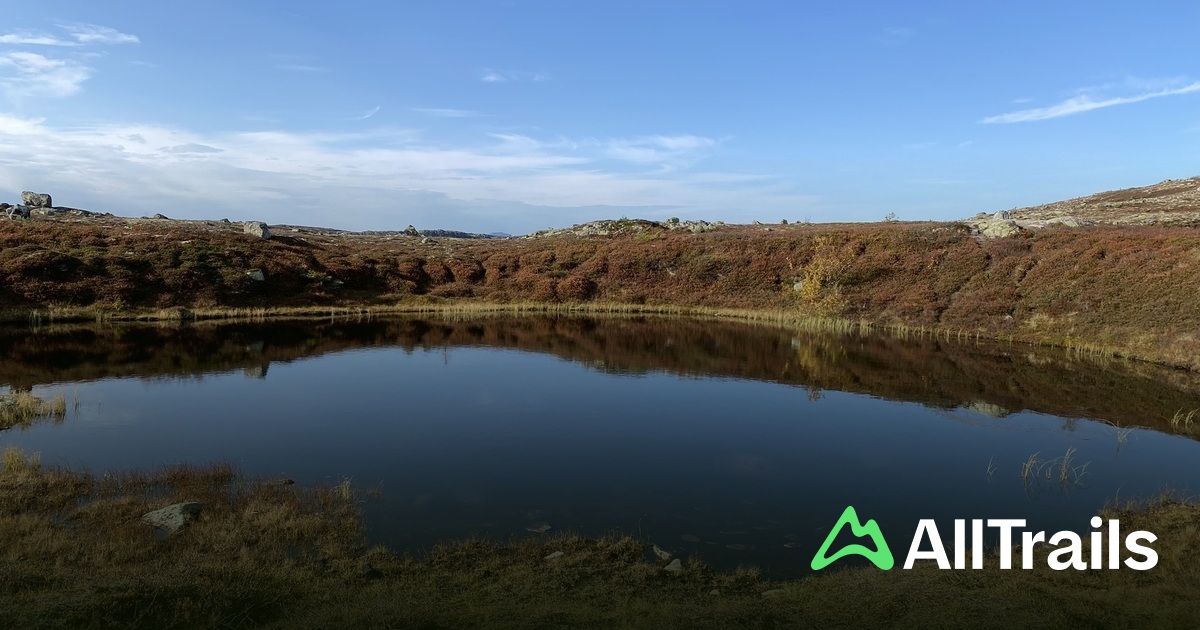 Bedste ruter med vilde blomster i Eggedal | AllTrails