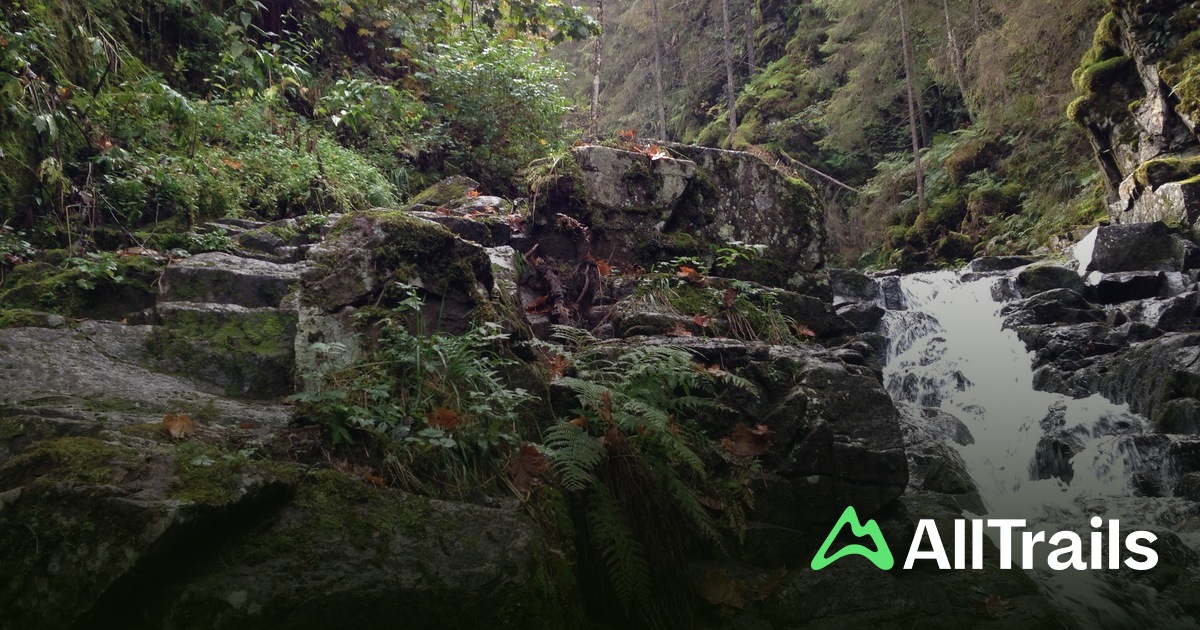 Best long trails in Sylling | AllTrails