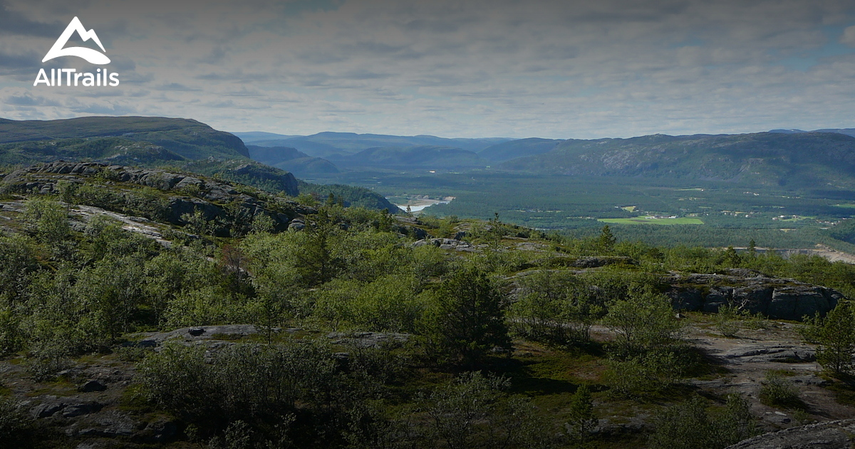 10 Best Trails, Walks, and Paths in Alta | AllTrails