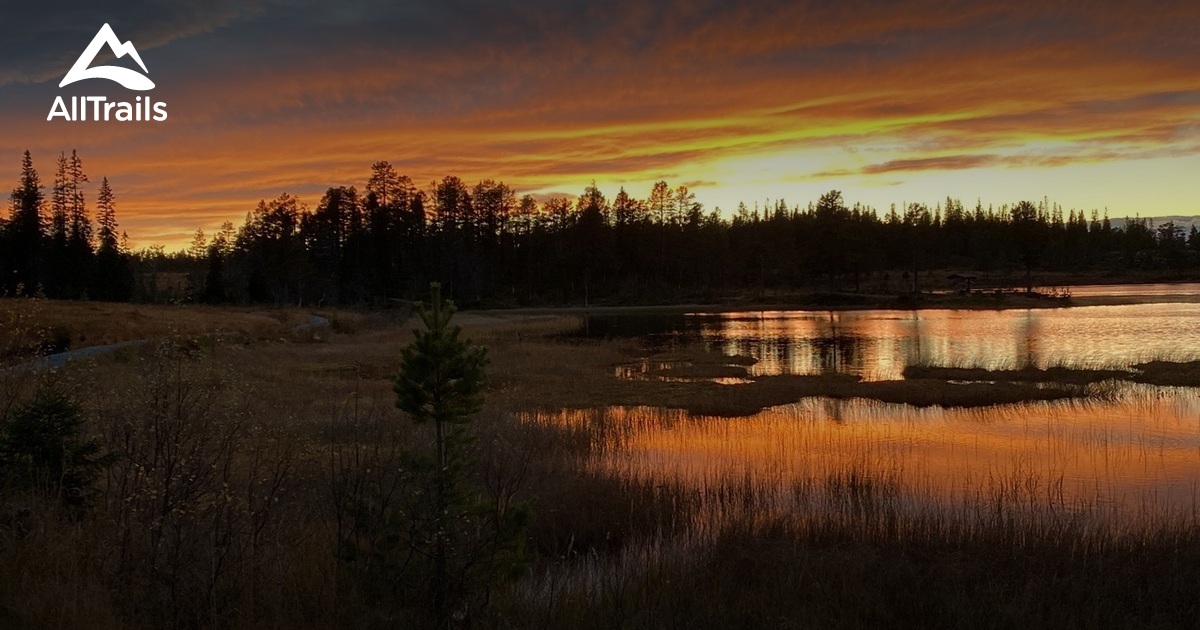 Best hikes and trails in Flornes | AllTrails