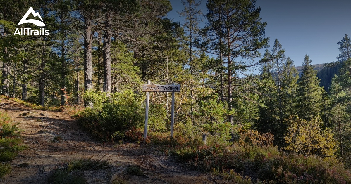 10 Best trails and hikes in Melhus | AllTrails