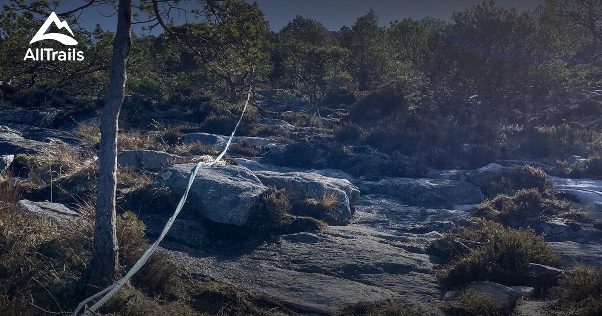 Melhores trilhos com vistas em Sundlandet | AllTrails