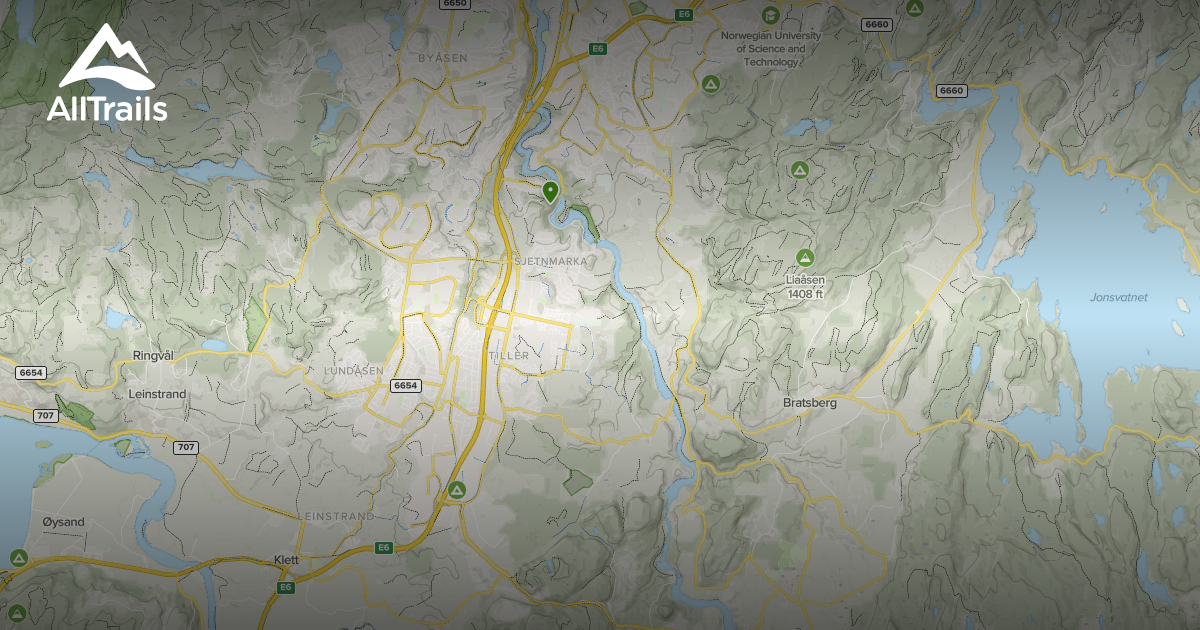 2023 Best Wild Flowers Trails in Tiller | AllTrails