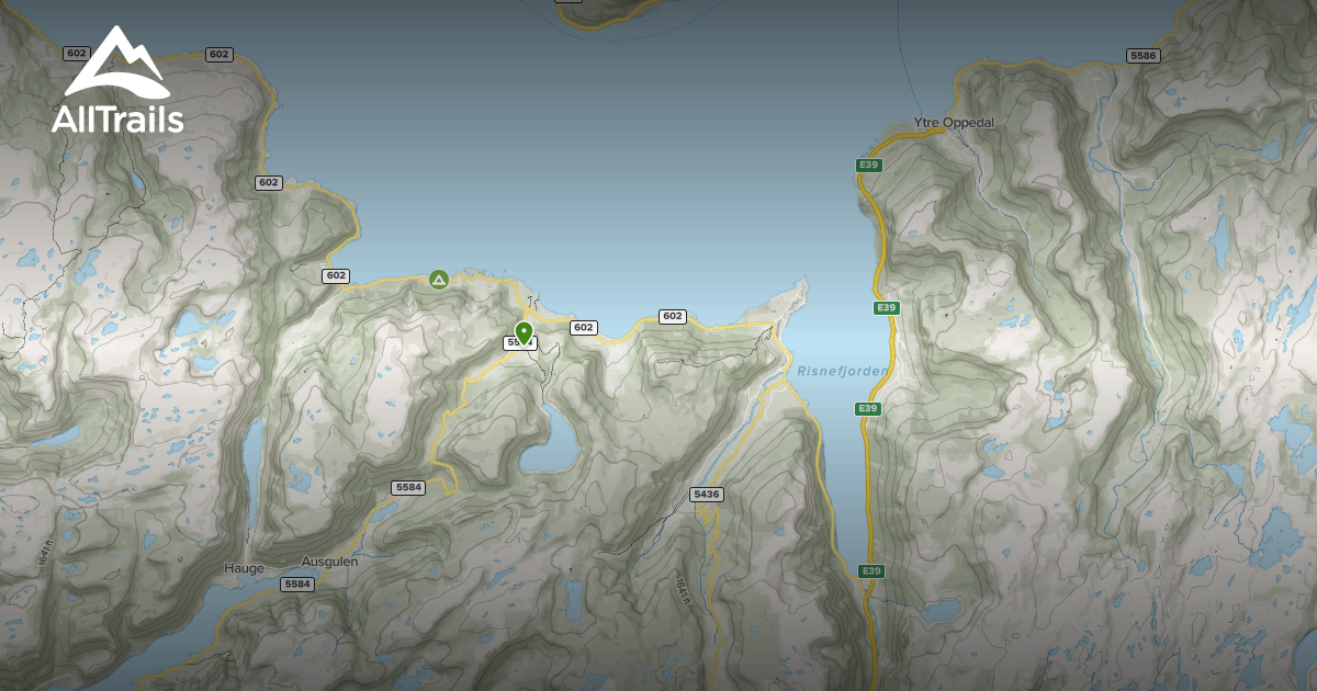 Best wildflower trails in Brekke | AllTrails