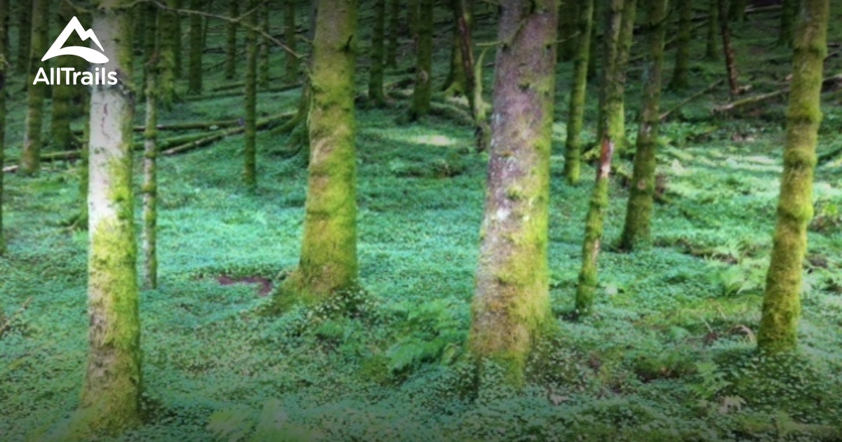 2023 Best Camping Trails in Fusa | AllTrails