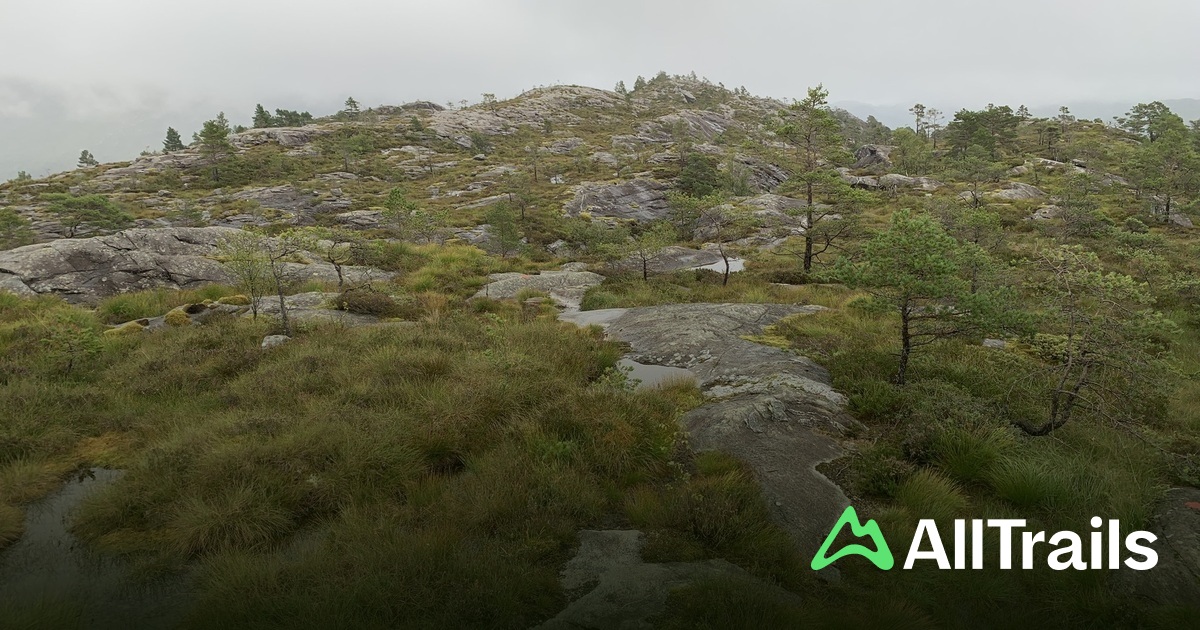Leirvik i Sogn : les meilleures randonnées et itinéraires | AllTrails