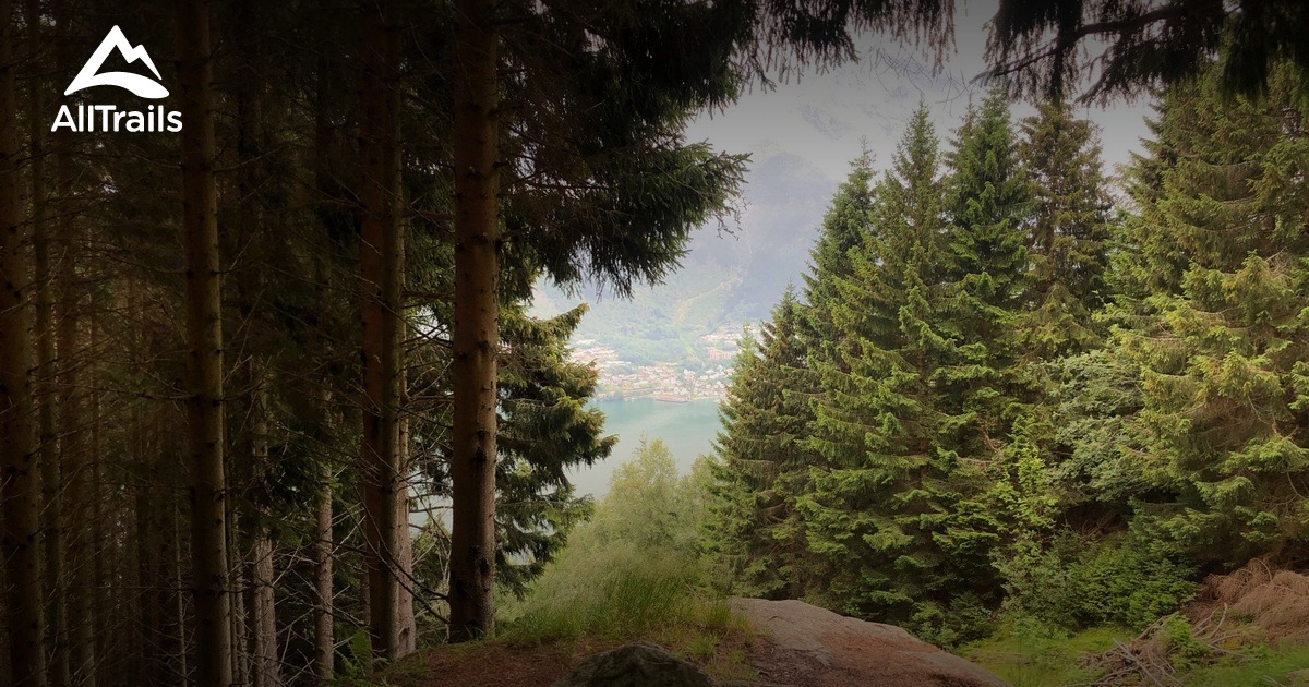 Best hikes and trails in Sunndal | AllTrails