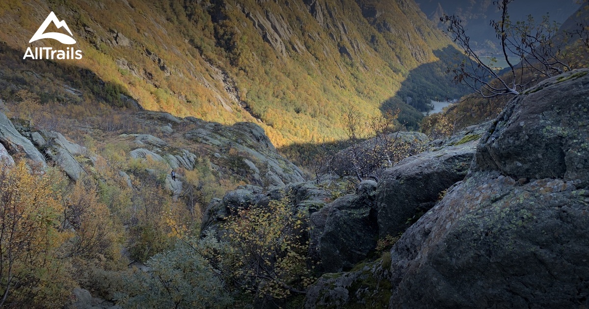 10 Best trails and hikes in Odda | AllTrails