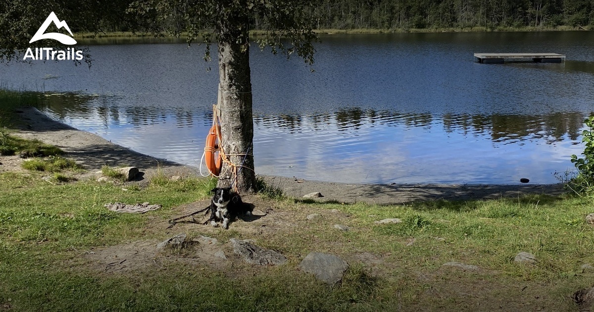 De beste makkelijke routes in Tomteråsen | AllTrails