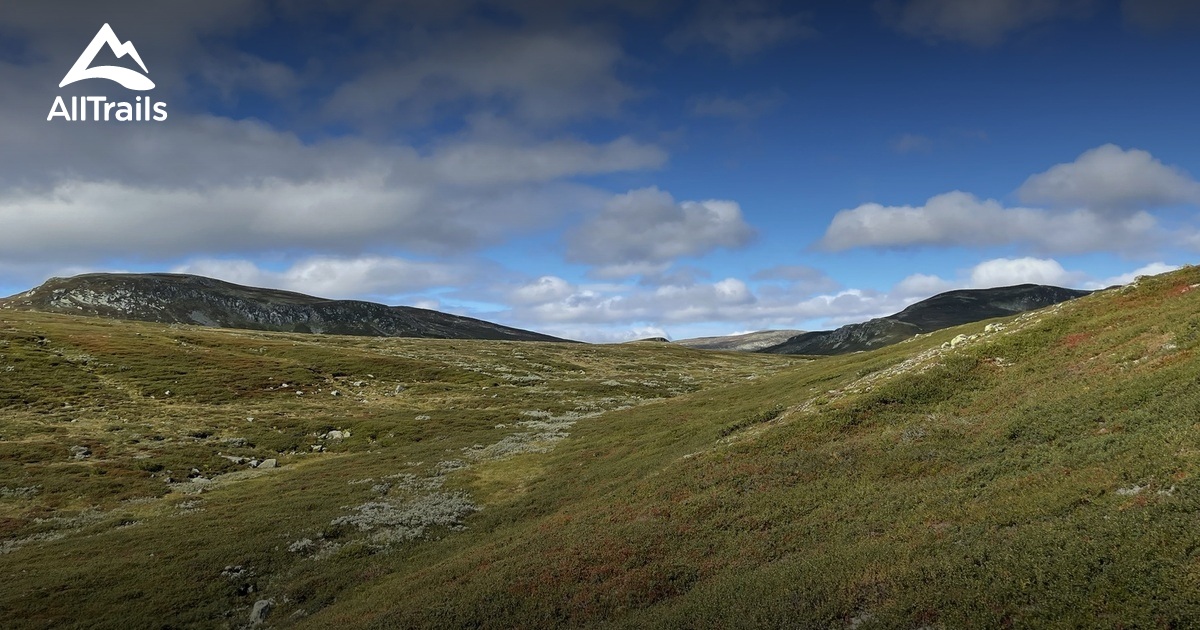 Best hikes and trails in Nore | AllTrails