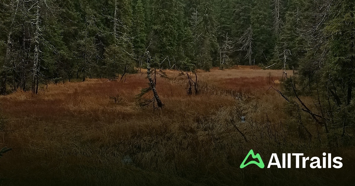 Best hikes and trails in Sundvollen | AllTrails