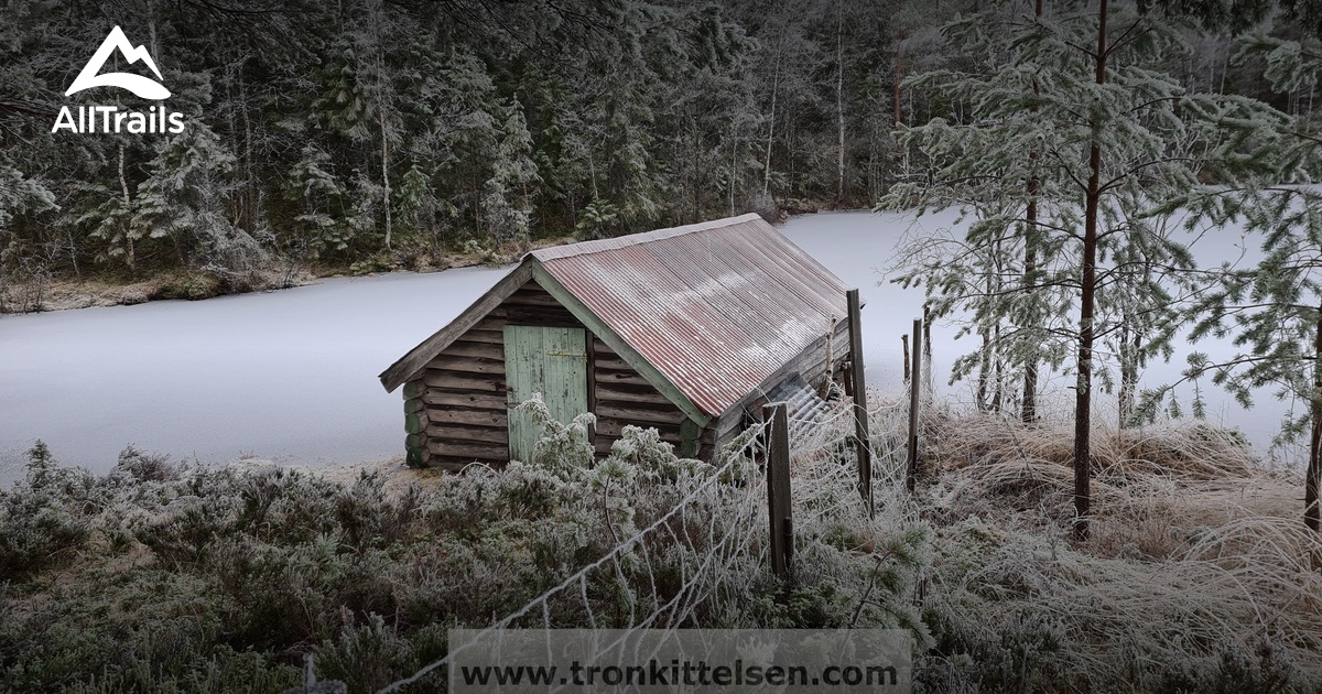 Die Besten Routen mit Botanischen Highlights in Tyristrand | AllTrails