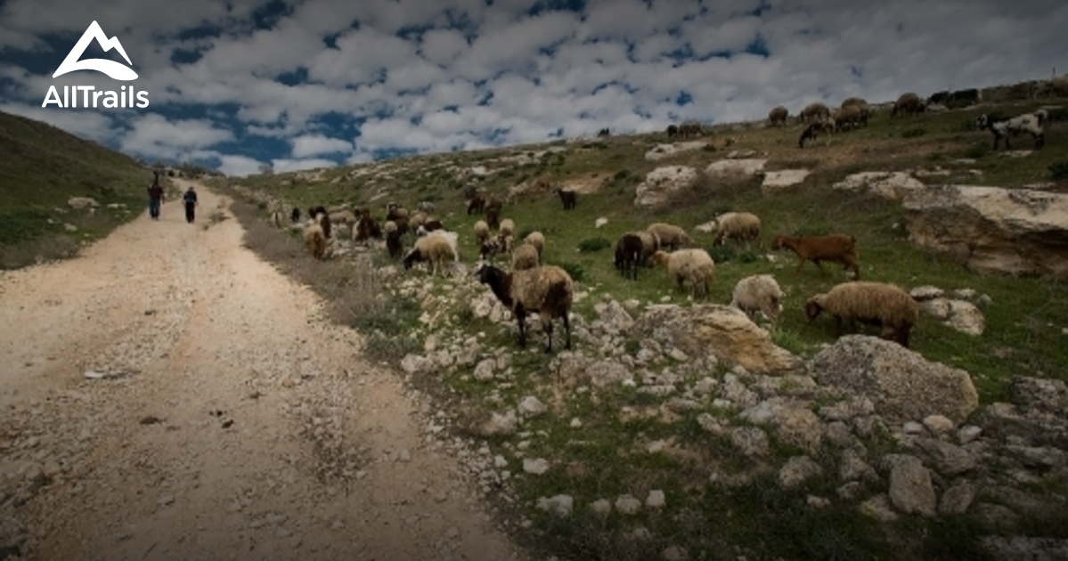 2023 Best Historic Site Trails in Arabah | AllTrails