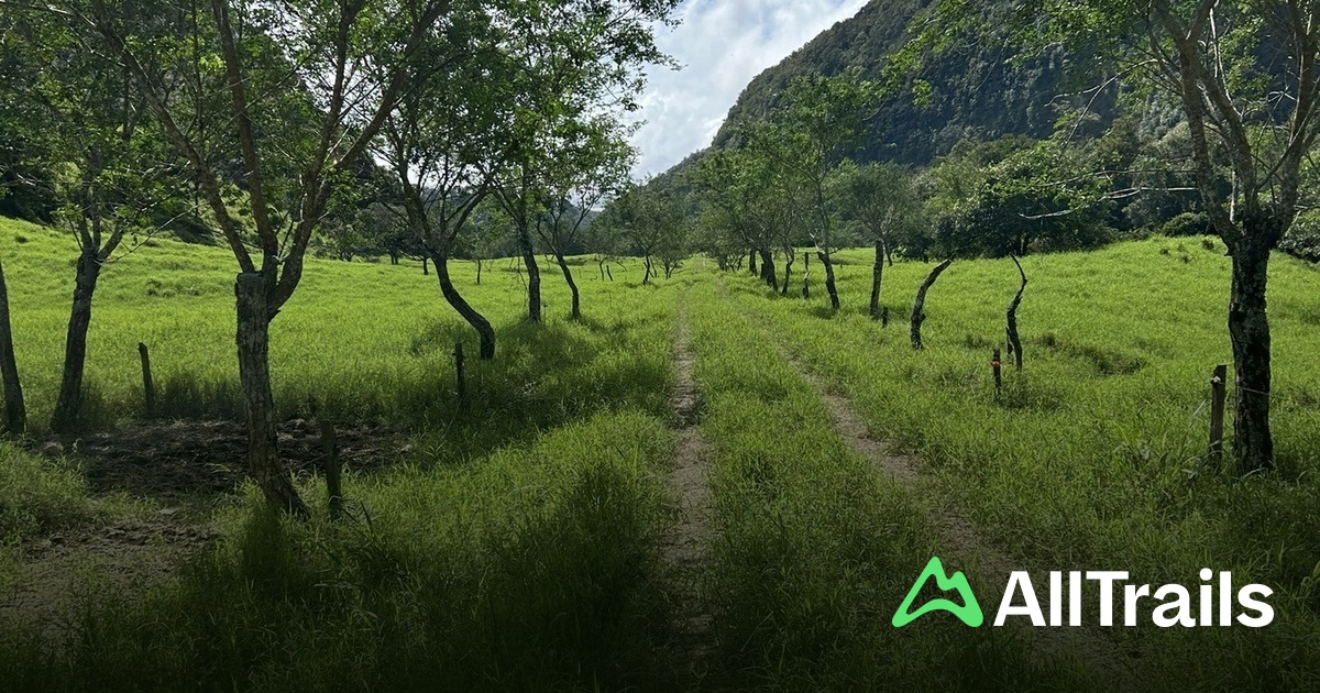 Los mejores senderos con río en Dolega | AllTrails