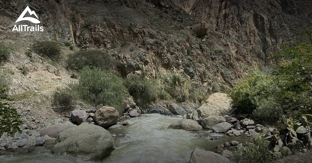 Best hikes and trails in Choco | AllTrails