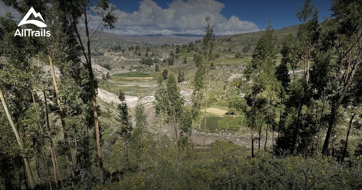 Best hikes and trails in Yanque | AllTrails