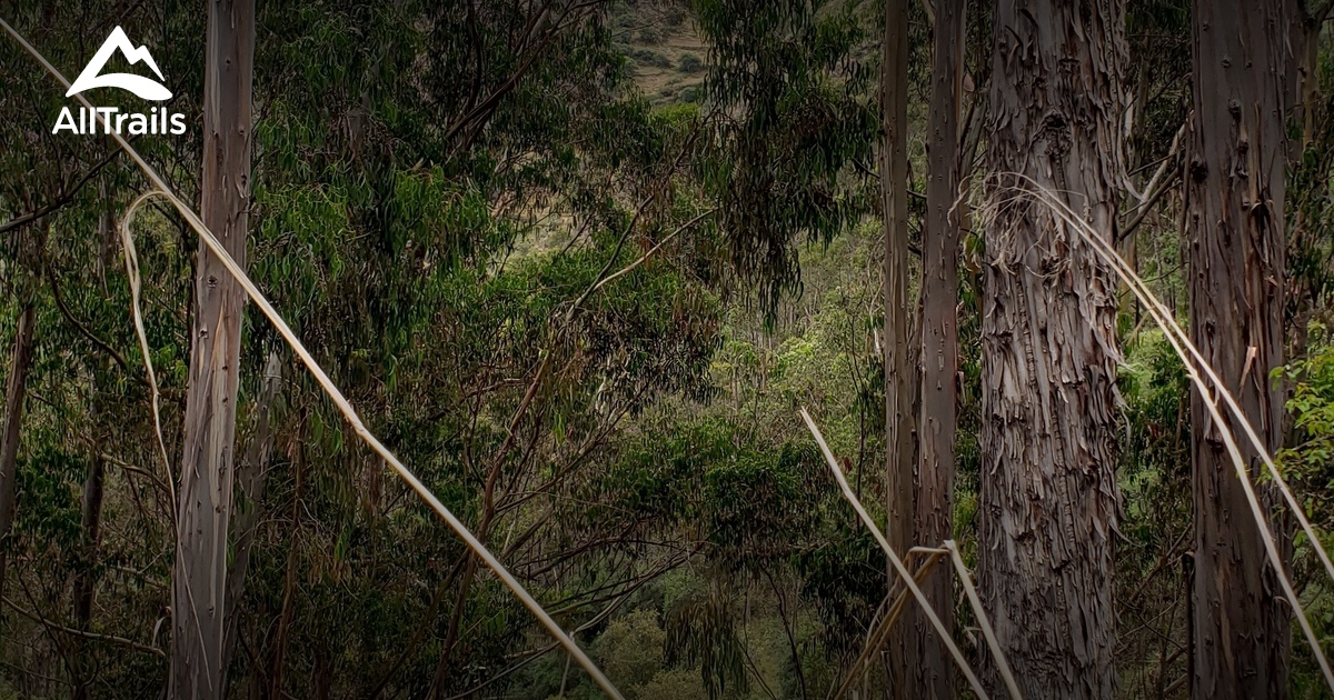 Best hikes and trails in Yucay | AllTrails