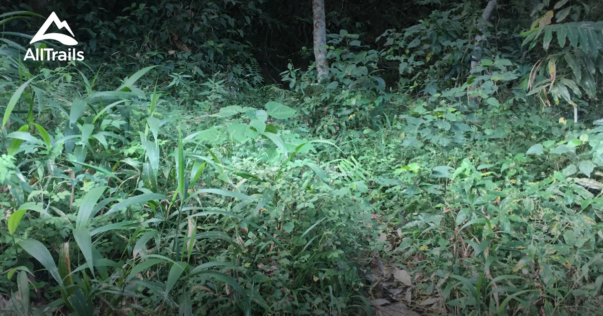 Best hikes and trails in Lipa City | AllTrails