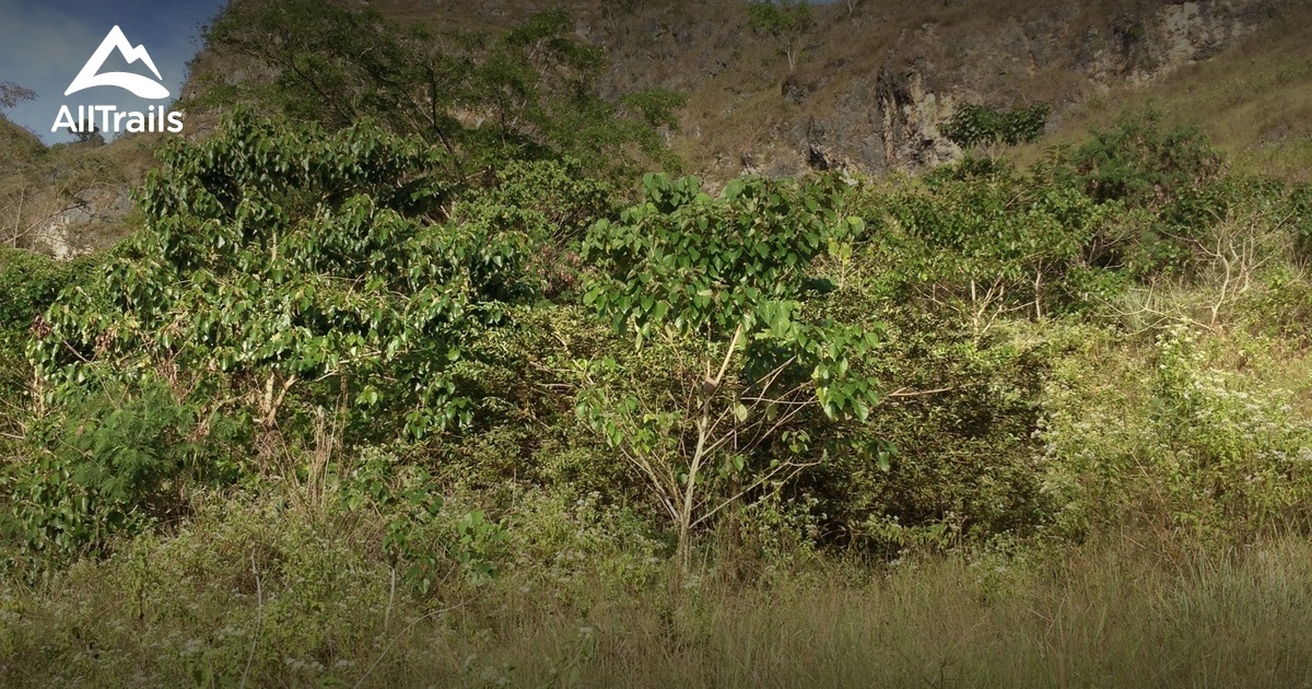 Best walking trails in Sumilao | AllTrails