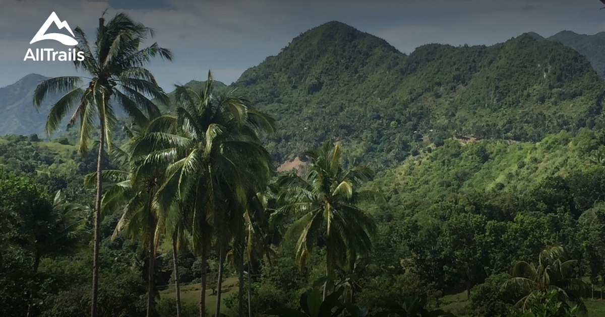 Best hikes and trails in Danao City | AllTrails